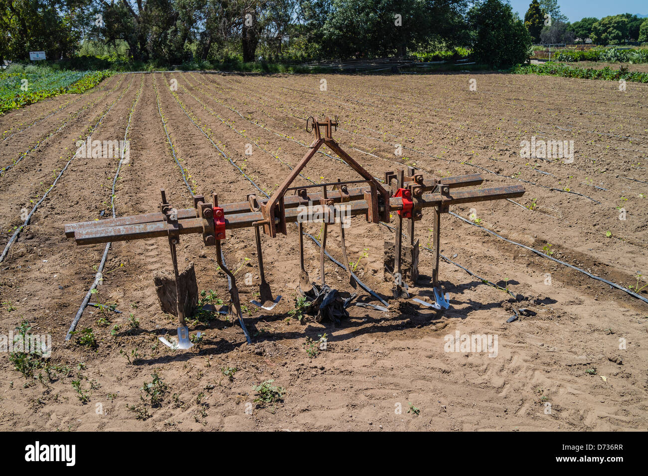 A plow used on a field stands in front of the freshly plowed land in ...