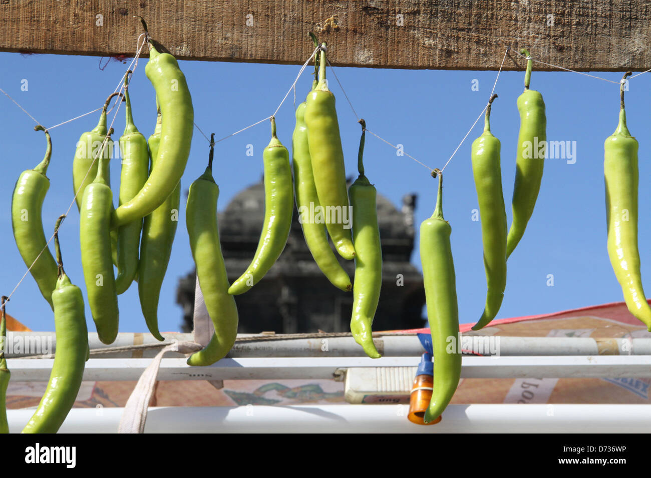 Big green chillies Stock Photo - Alamy