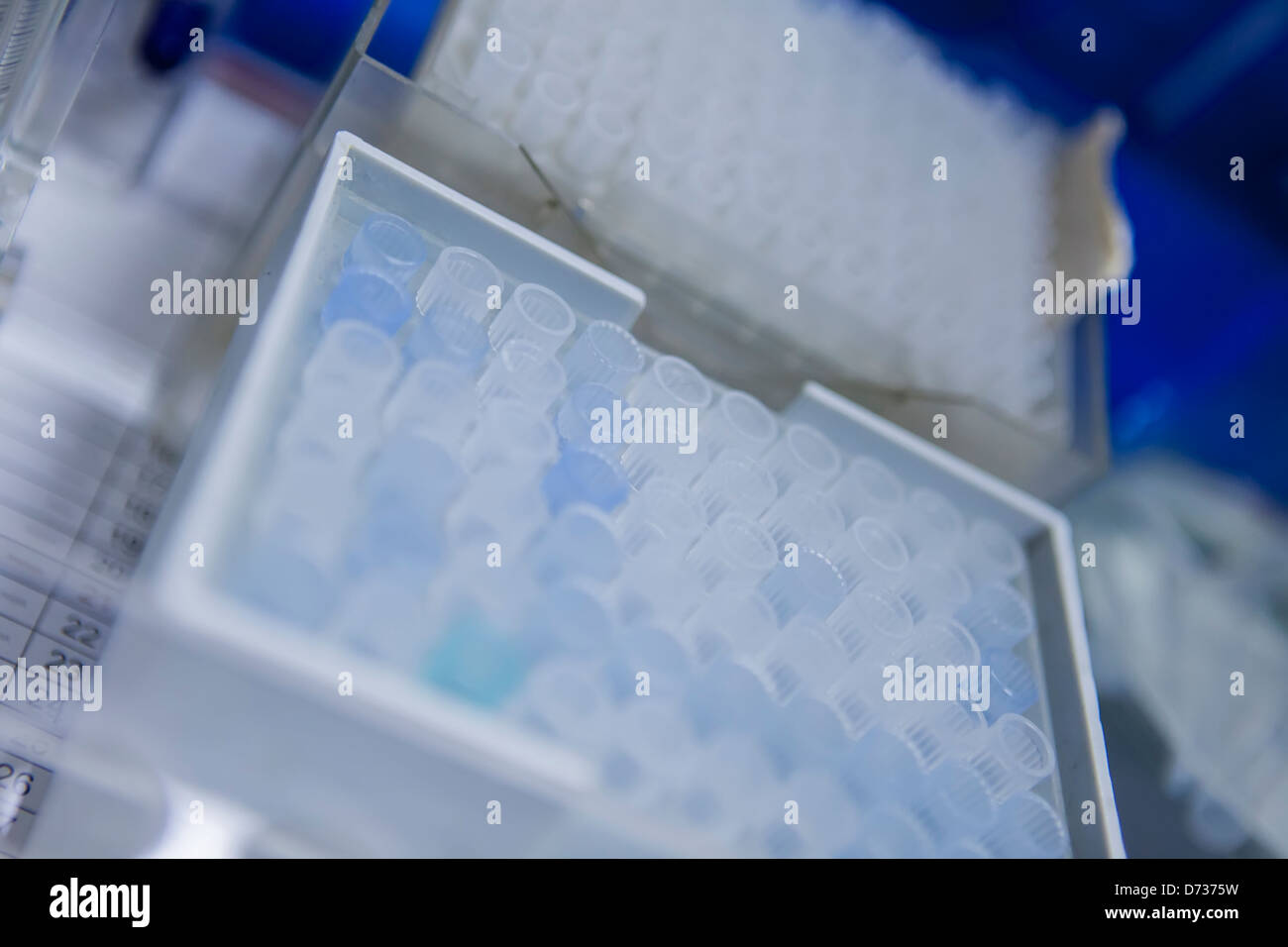 Closeup of the test tubes Stock Photo - Alamy
