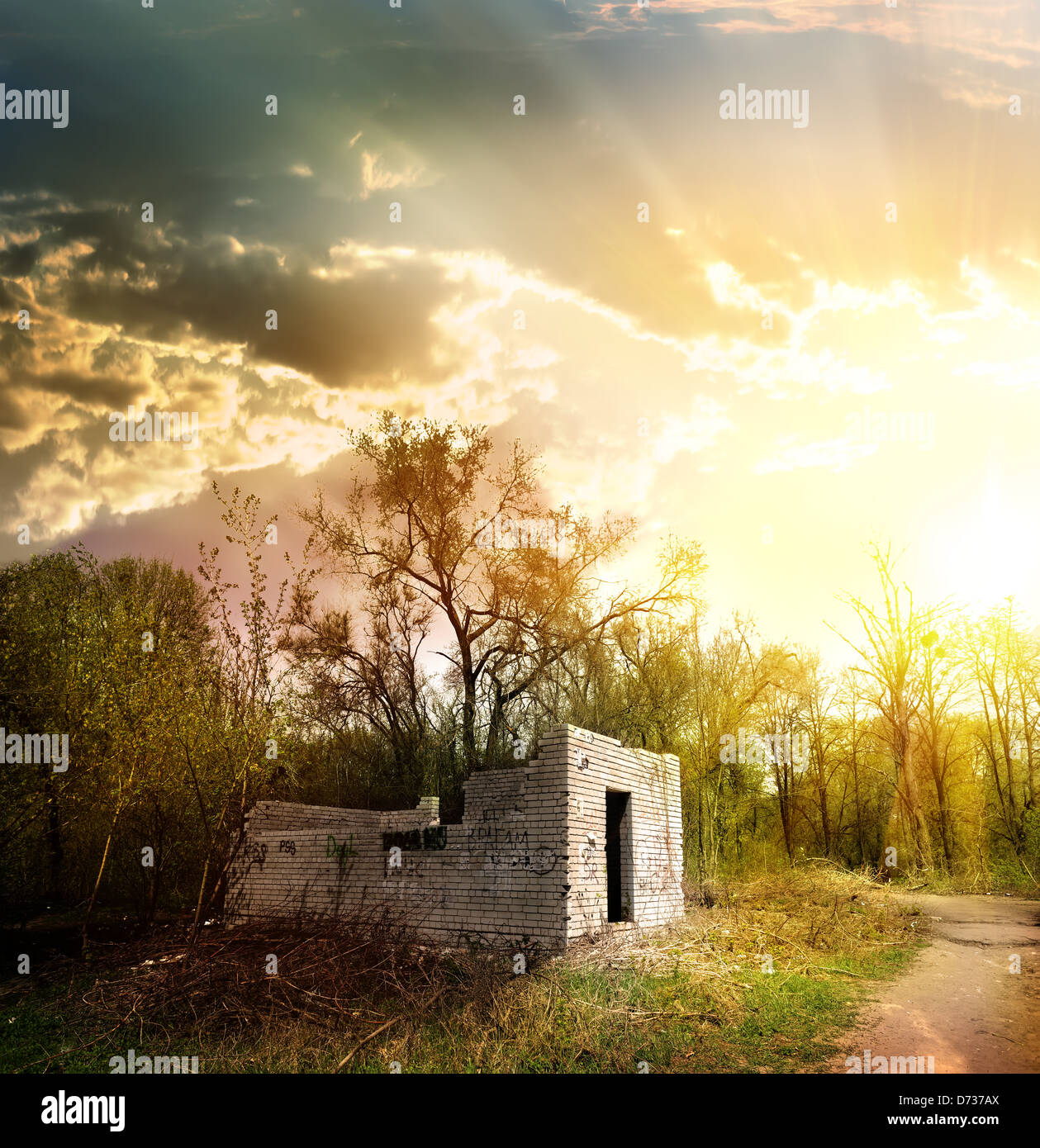 Collapsed brick house in the woods Stock Photo - Alamy