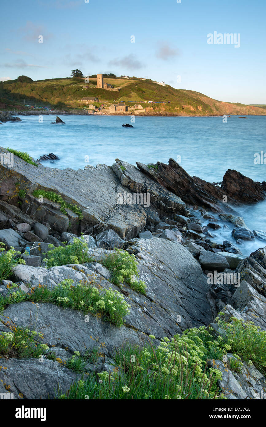 View of Wembury Bay in evening light Stock Photo - Alamy