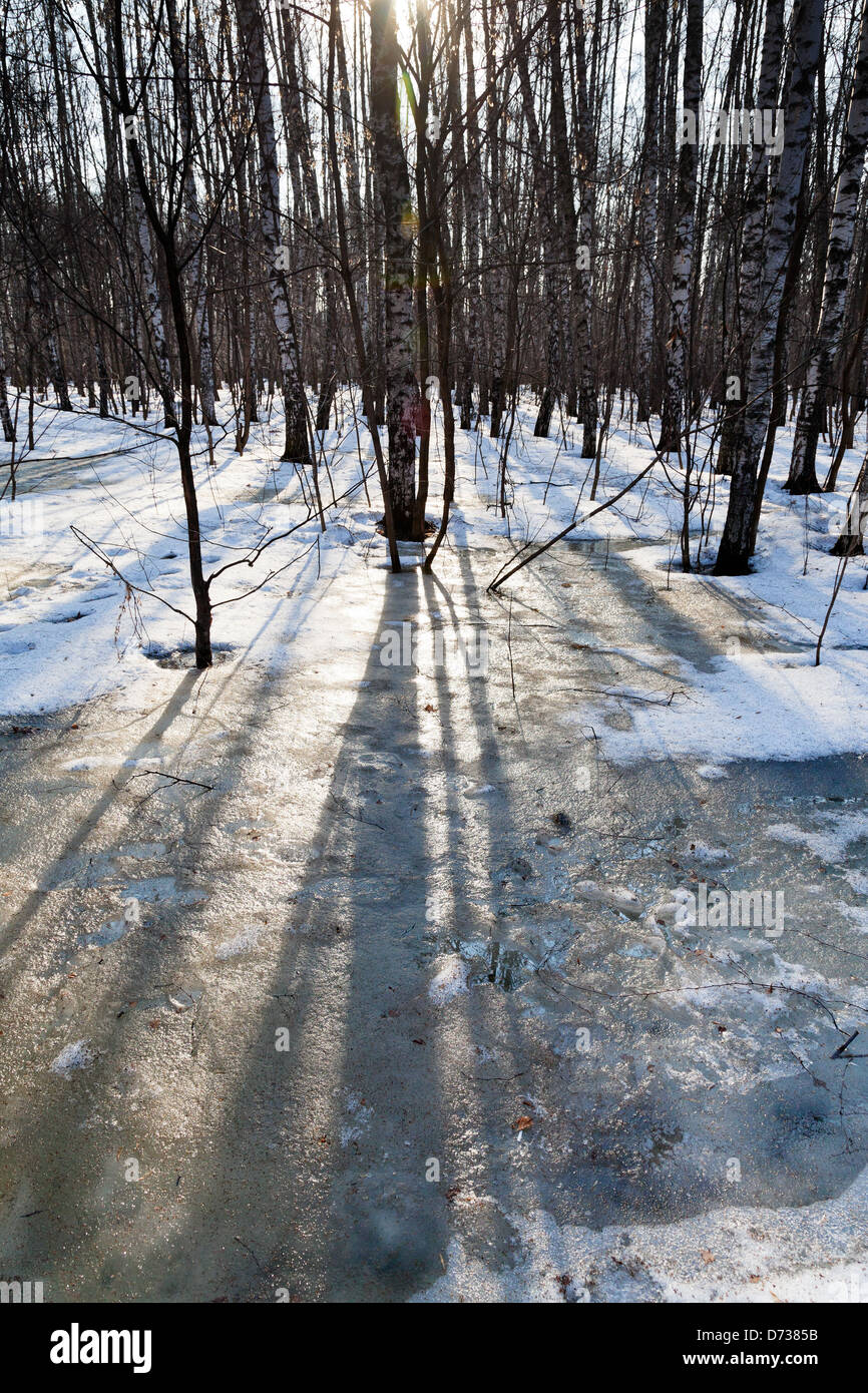 Early morning sun beam hi-res stock photography and images - Alamy