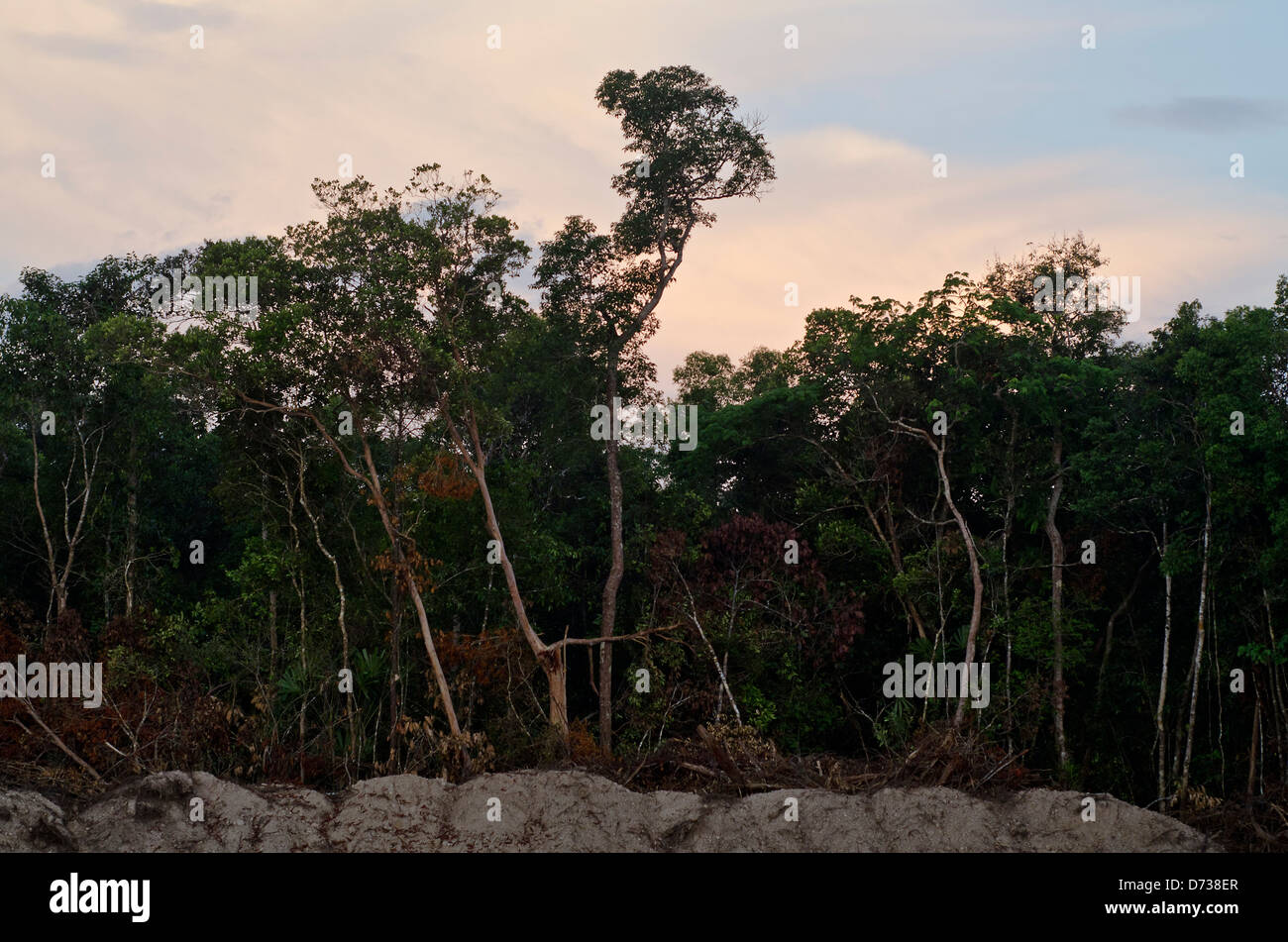 Boutum hi-res stock photography and images - Alamy