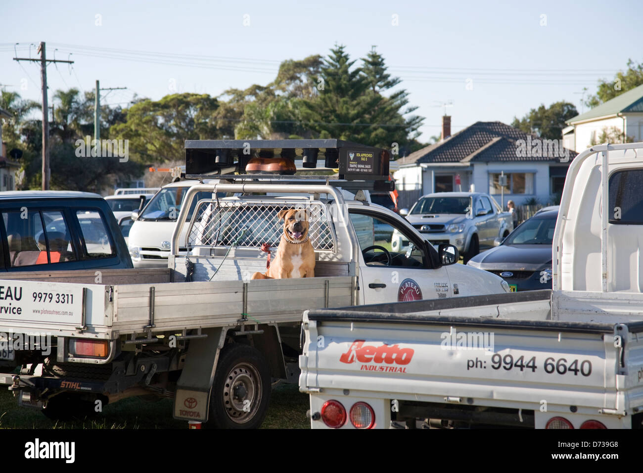 Back Of A Ute High Resolution Stock Photography and Images - Alamy
