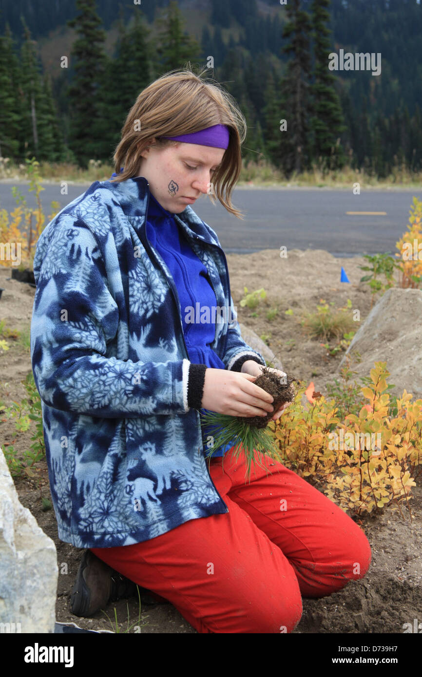 A Student Conservation Association (SCA) volunteer plants and restores ...