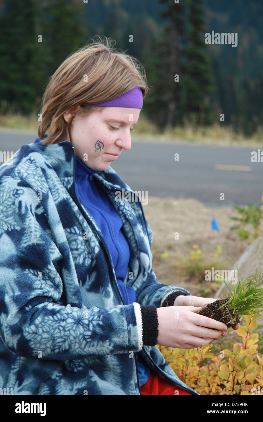 A member of the Student Conservation Association (SCA) volunteers in ...
