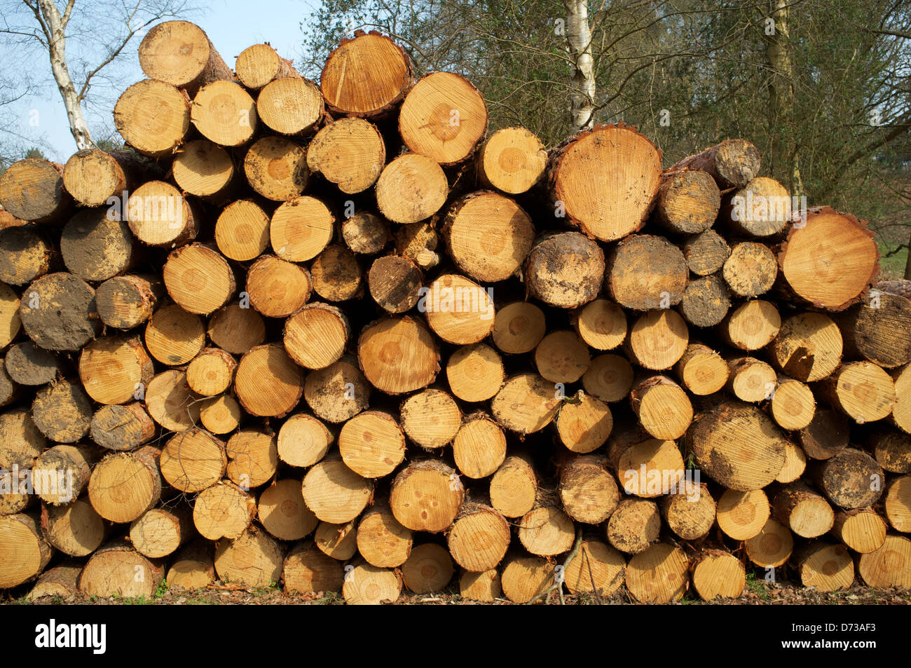 Hollesley upper common hi-res stock photography and images - Alamy