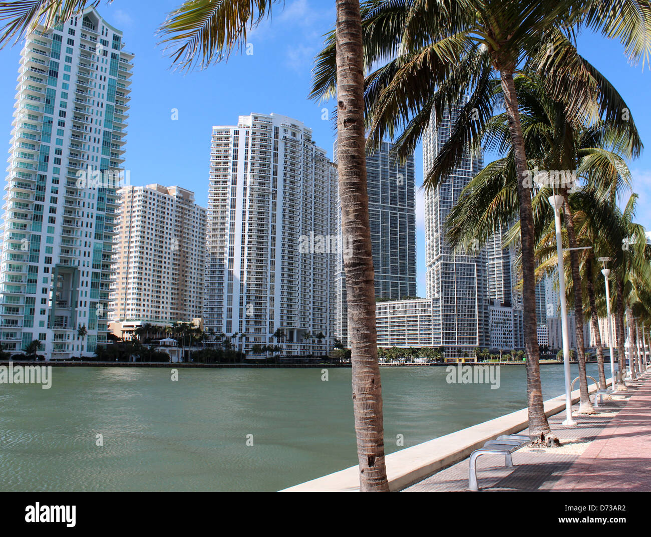 Taking a pleasant walk along the Miami river walk with view of palm ...