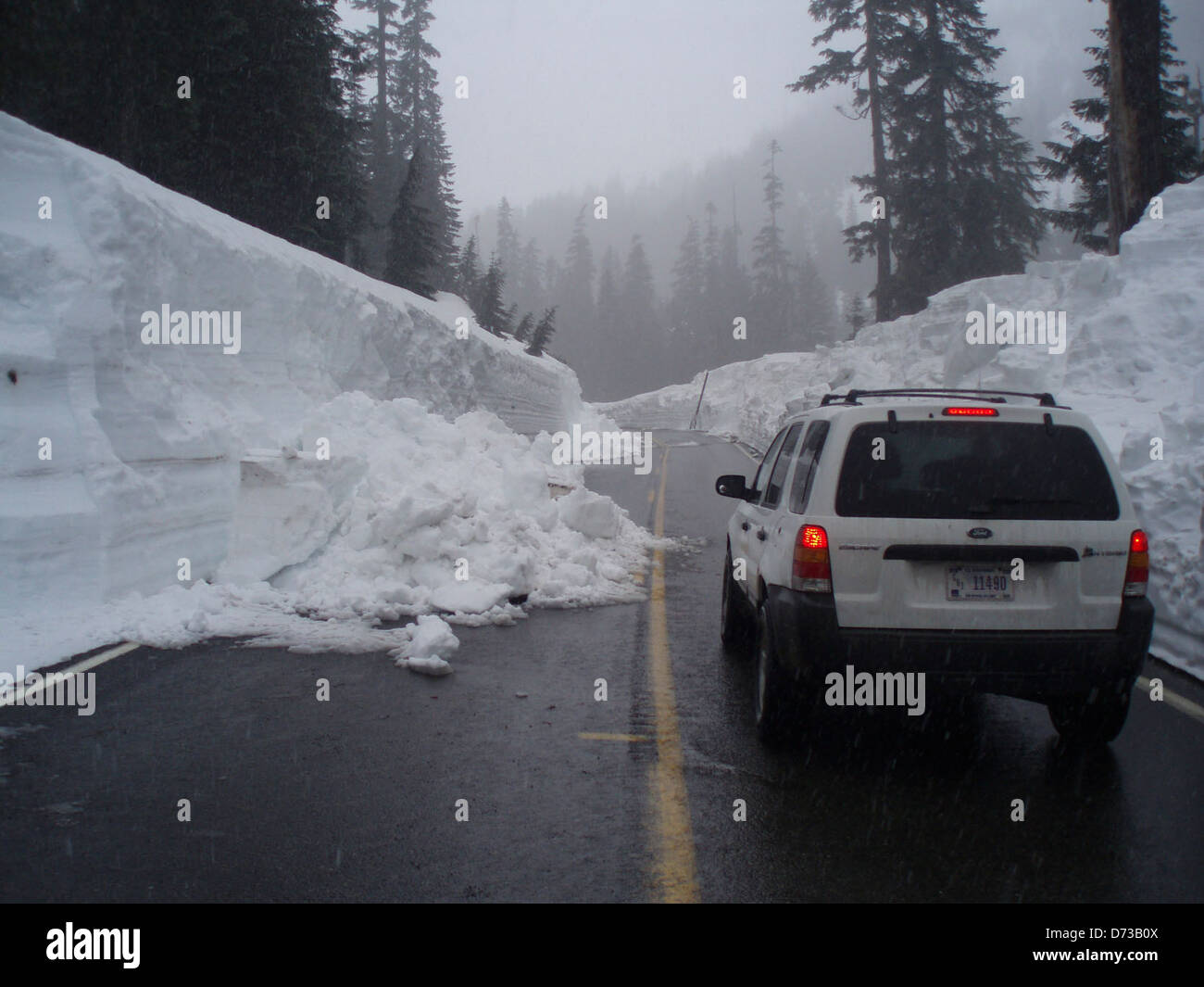 Cayuse Pass, located in Mount Rainier National Park, is known for its ...