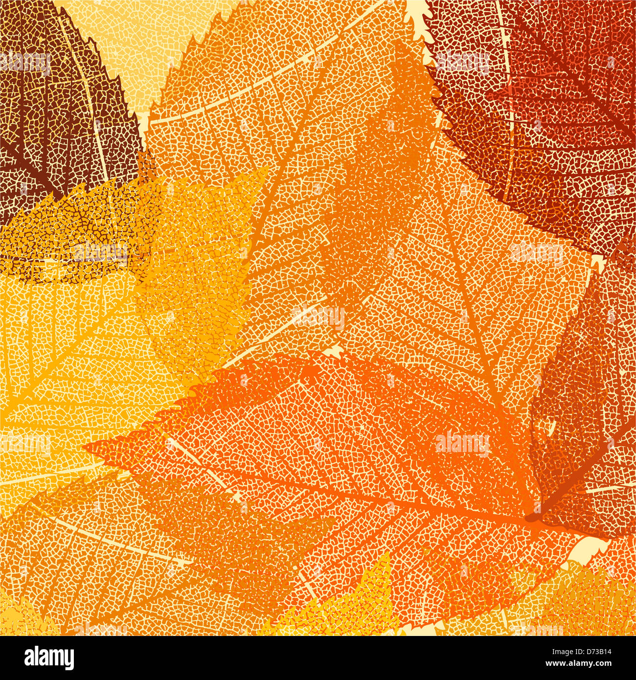 Dry autumn leaves template Stock Photo - Alamy