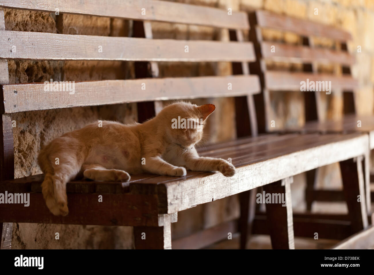 Cyprus - Holy Monastery of Saint Nicholas of the Cats Stock Photo - Alamy