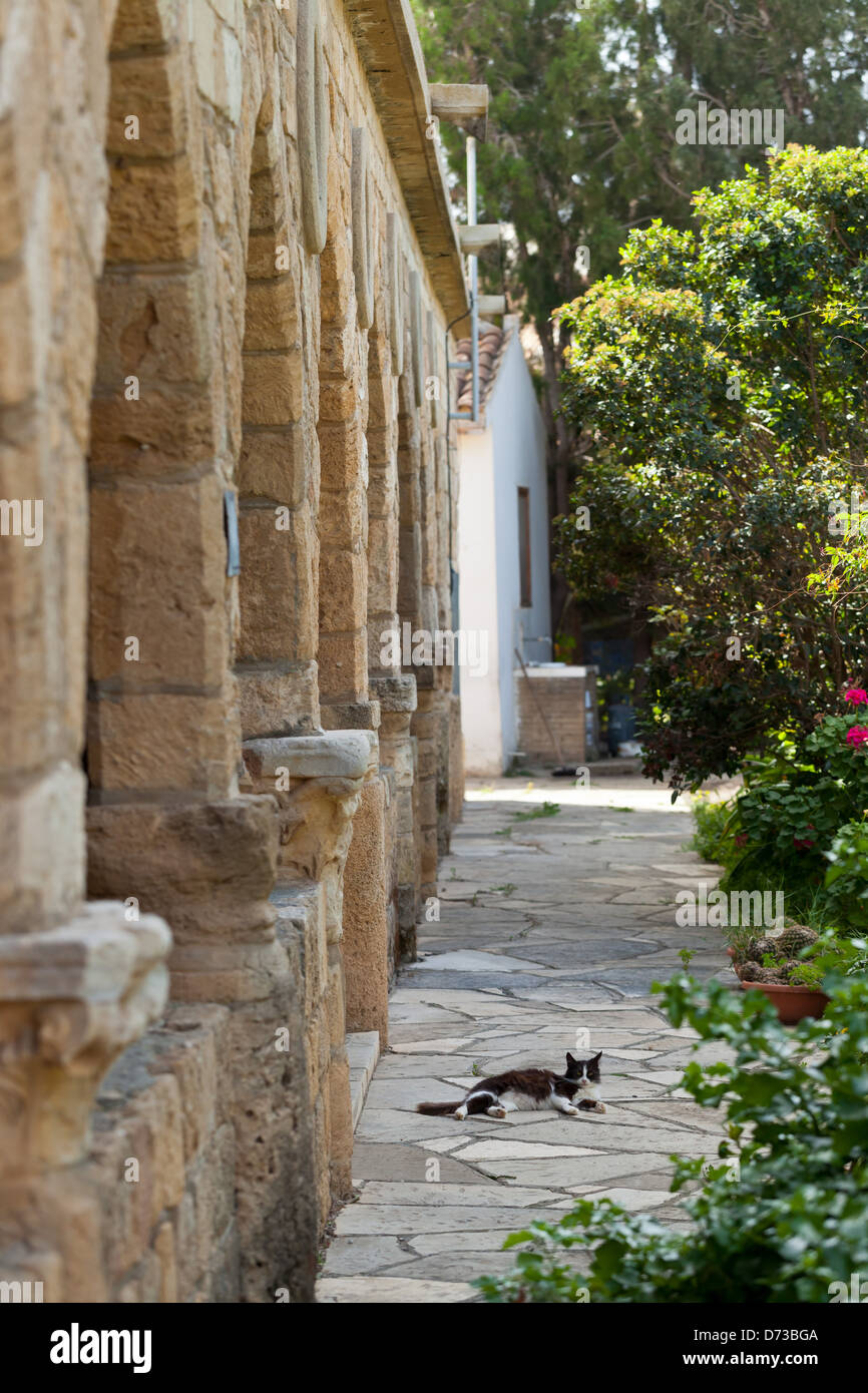 Saint nicholas cats hi-res stock photography and images - Alamy