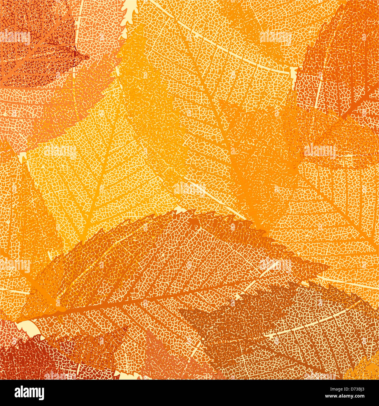 Dry autumn leaves template Stock Photo - Alamy