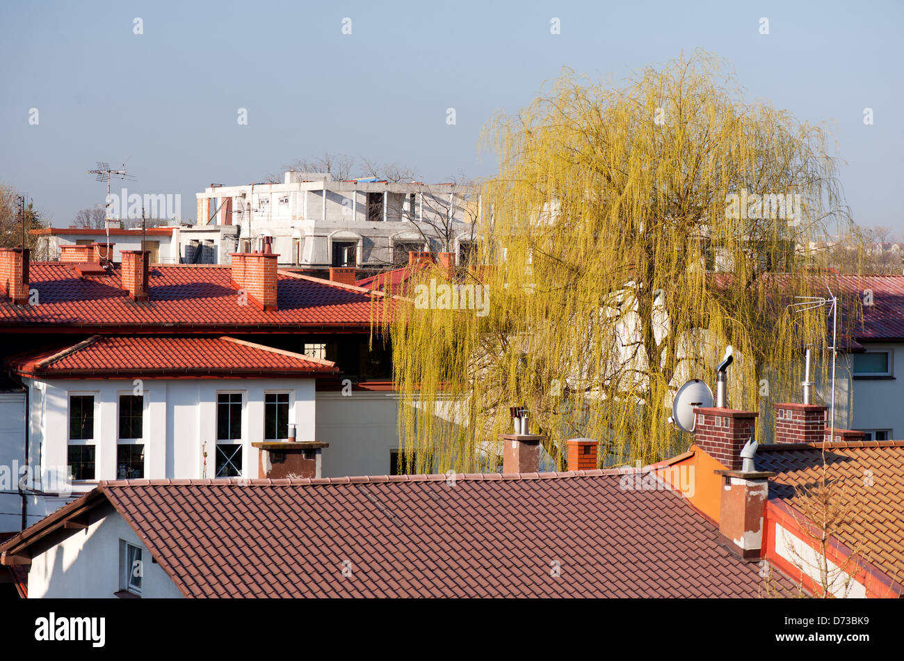 Building development roofs and willow tree Stock Photo - Alamy