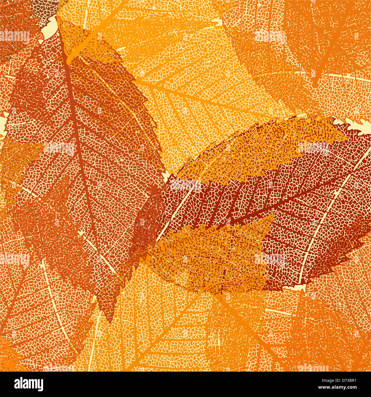Dry autumn leaves template Stock Photo - Alamy