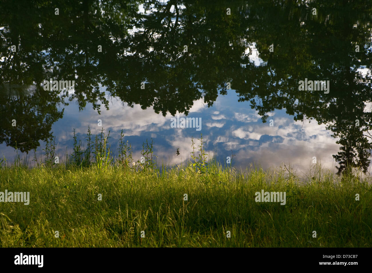 trees, sky, reflection, water Stock Photo - Alamy