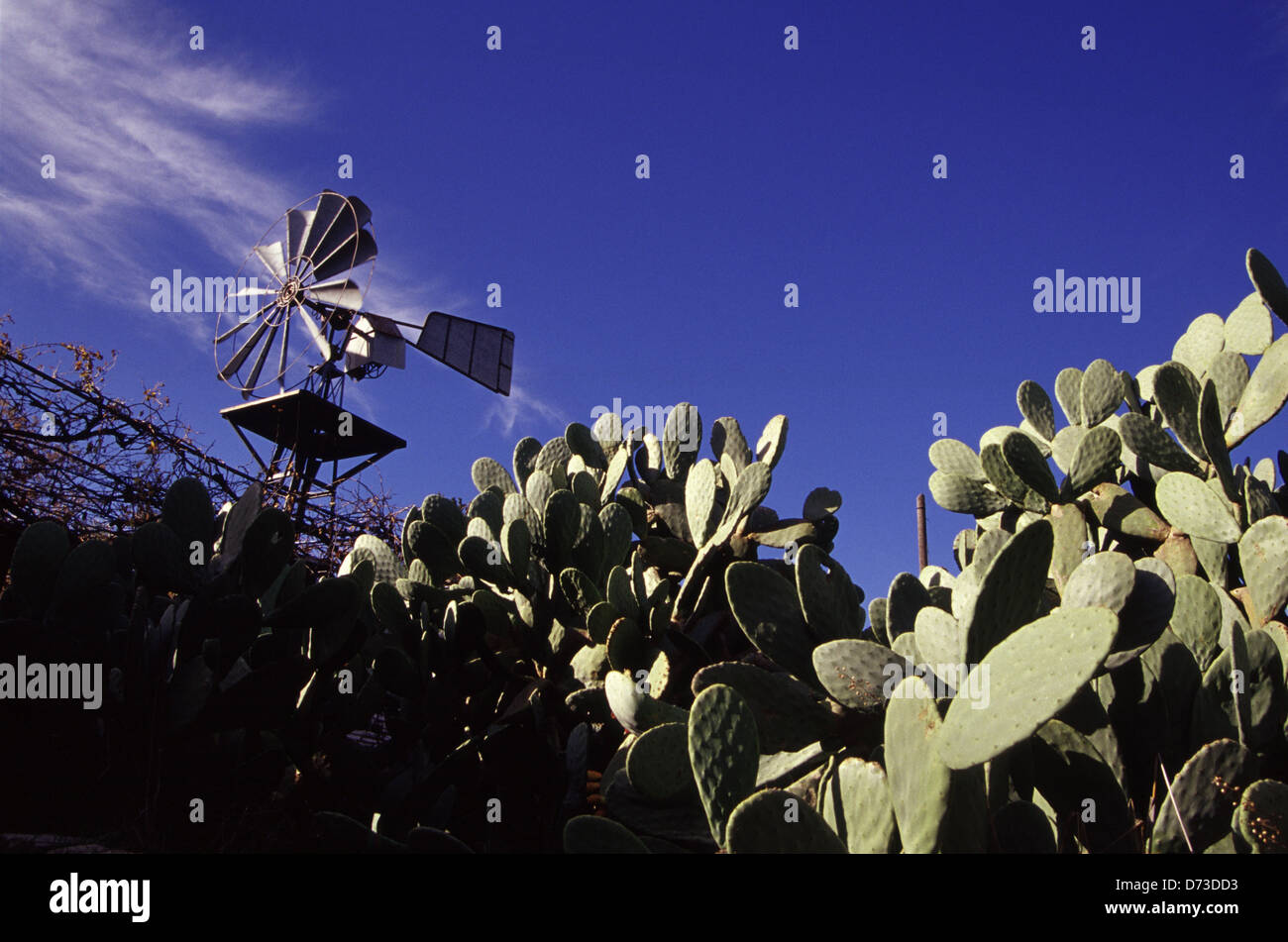 Rural scenery in the town of Metula upper Galilee northern Israel Stock ...