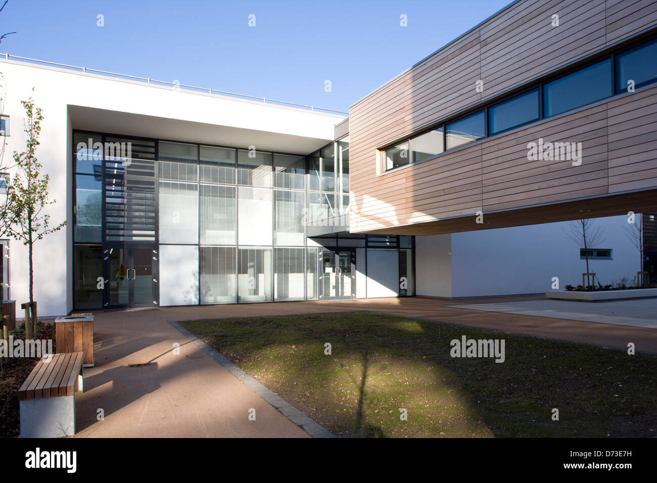 Modern College Building