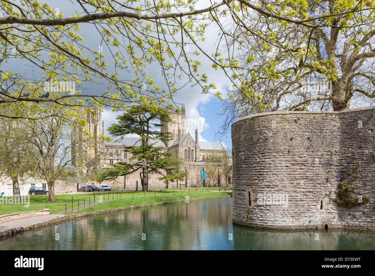 Wells Cathedral from the moat and walls of the Bishops Palace, Wells ...