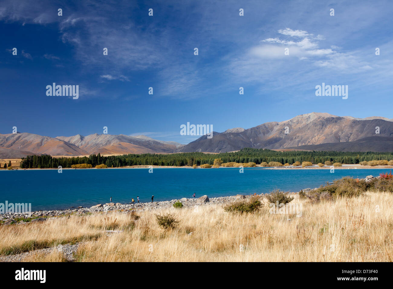 Lake Tekapo, South Island, New Zealand Stock Photo - Alamy