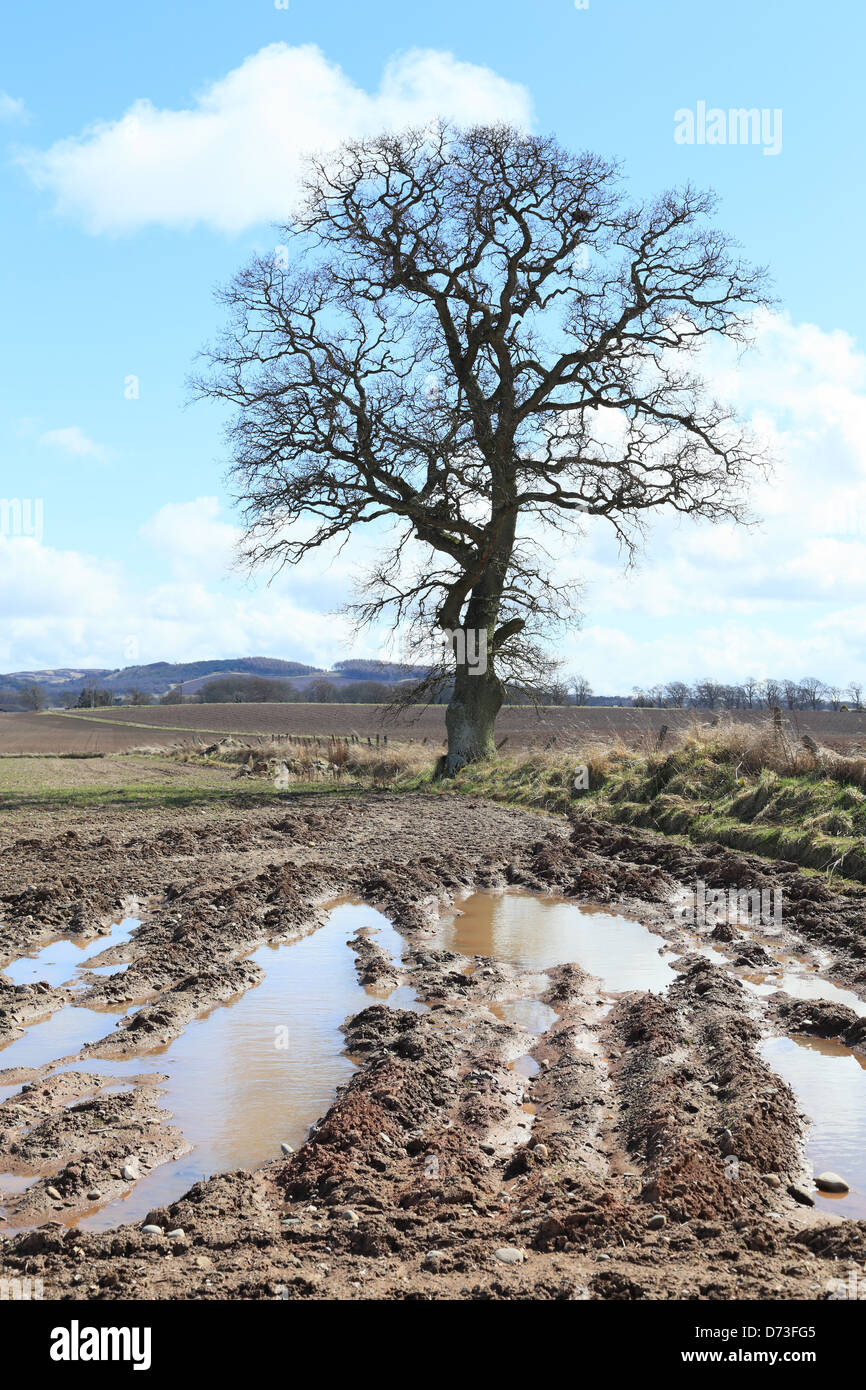 Muddy field hi-res stock photography and images - Alamy