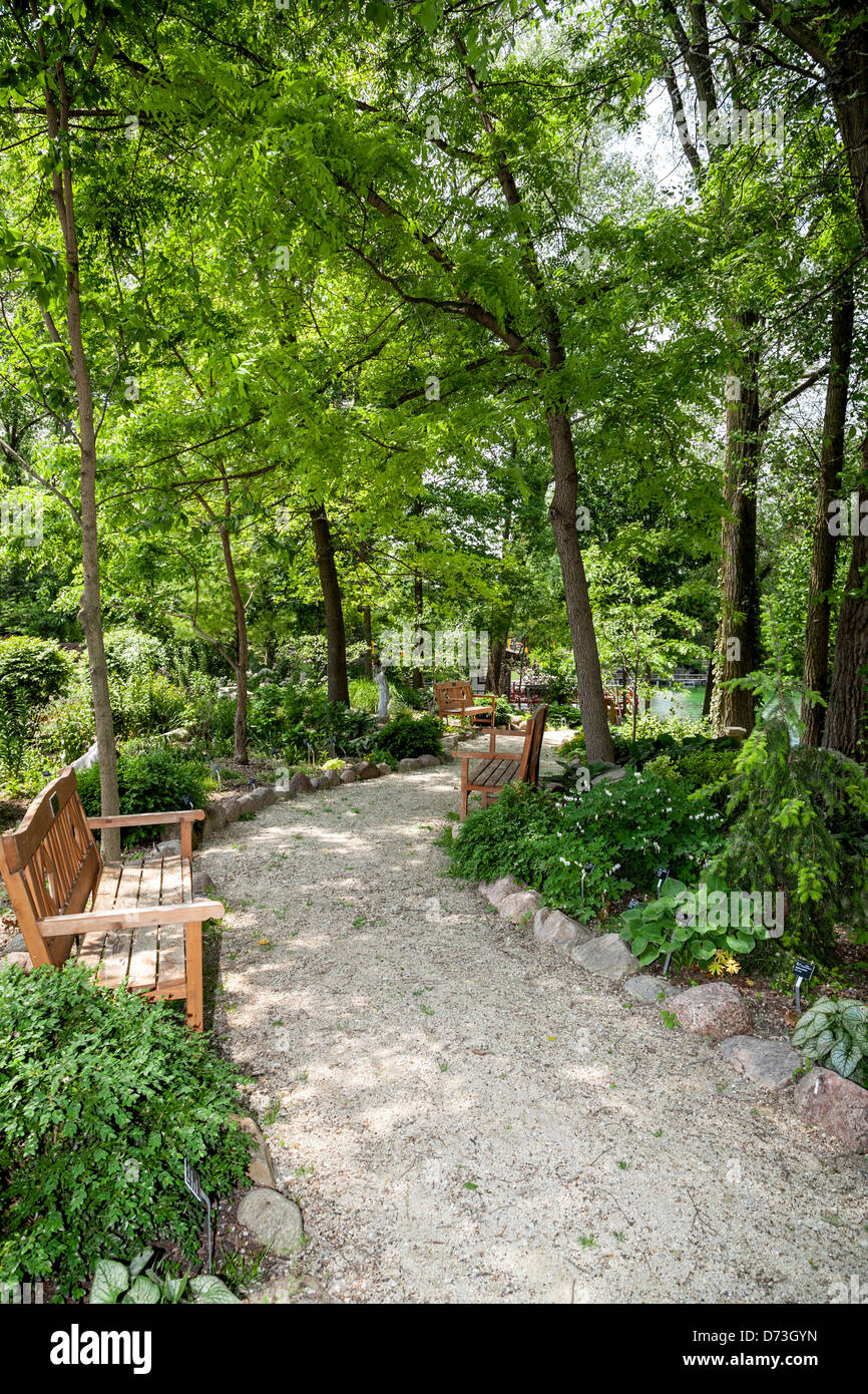 walking path through trees Stock Photo - Alamy