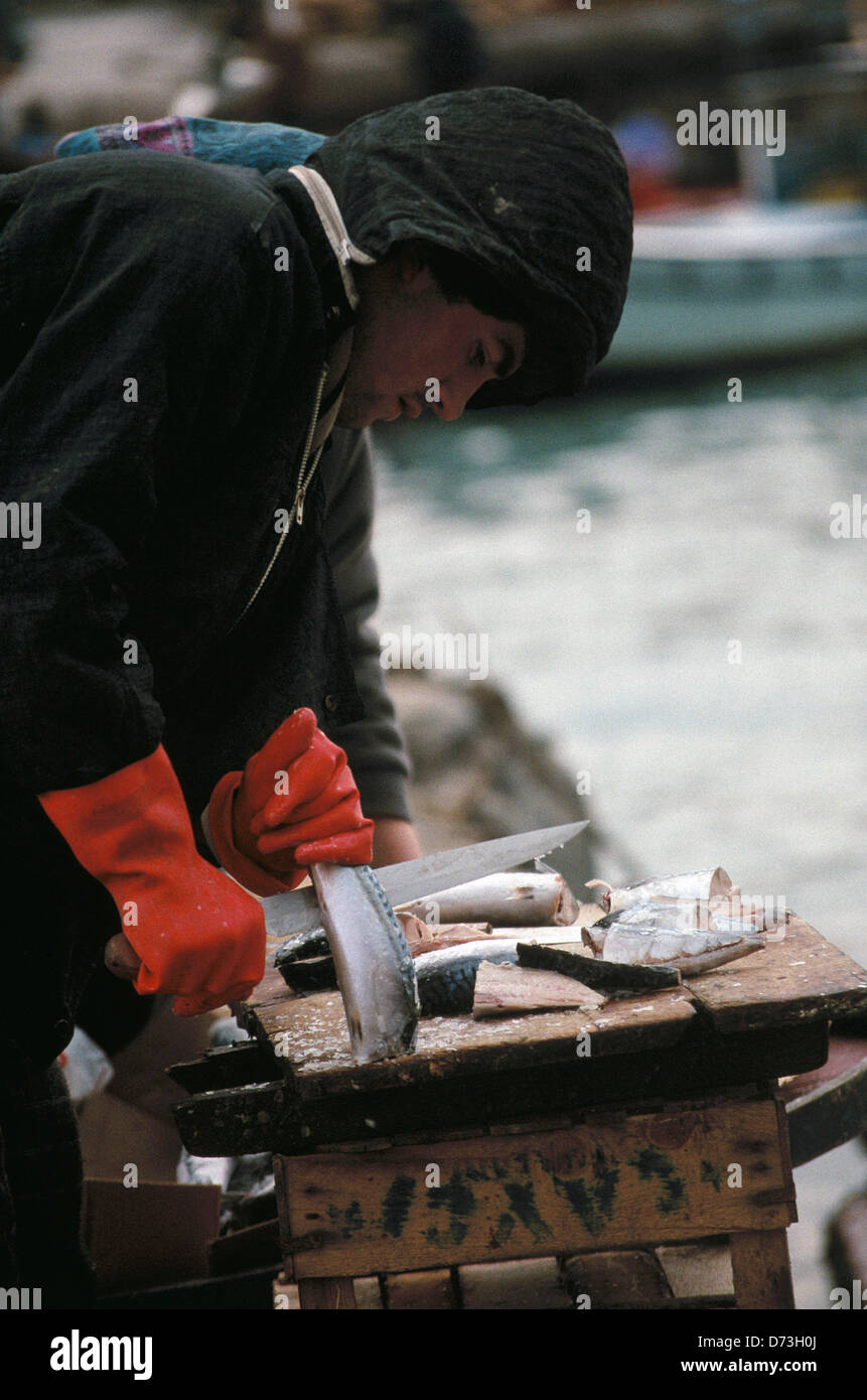 A fish merchant preparing fish for sale on the docks of central ...