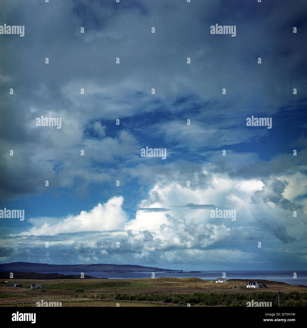 Earlish hi-res stock photography and images - Alamy