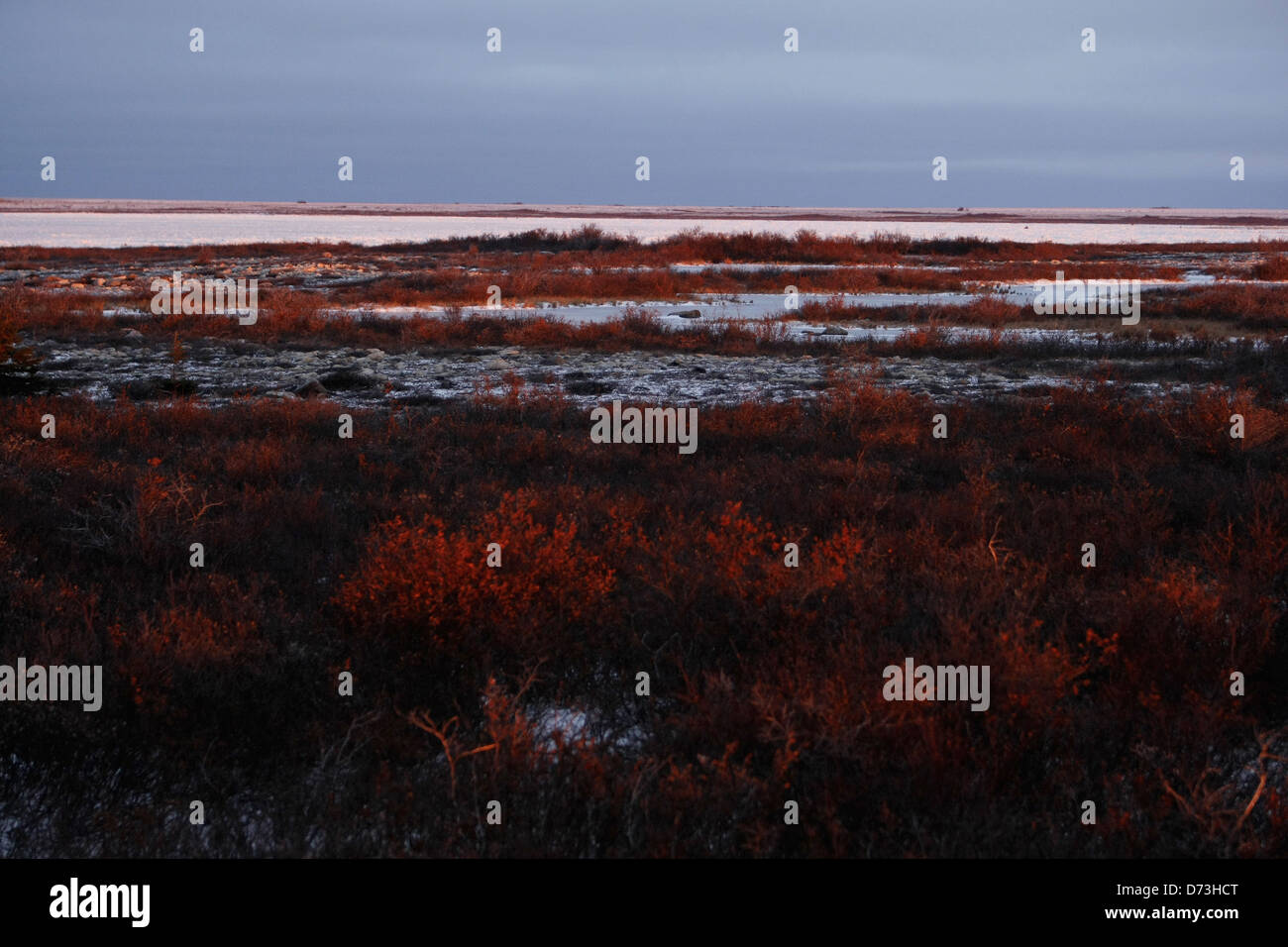 Churchill, Canada, Sunset over the tundra Stock Photo - Alamy