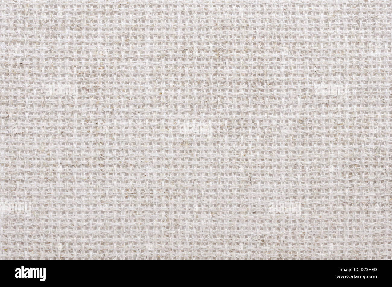 White Embroidery Texture