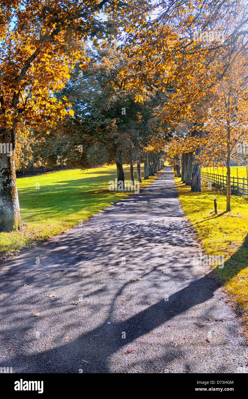 Drive driveway driveways hi-res stock photography and images - Alamy