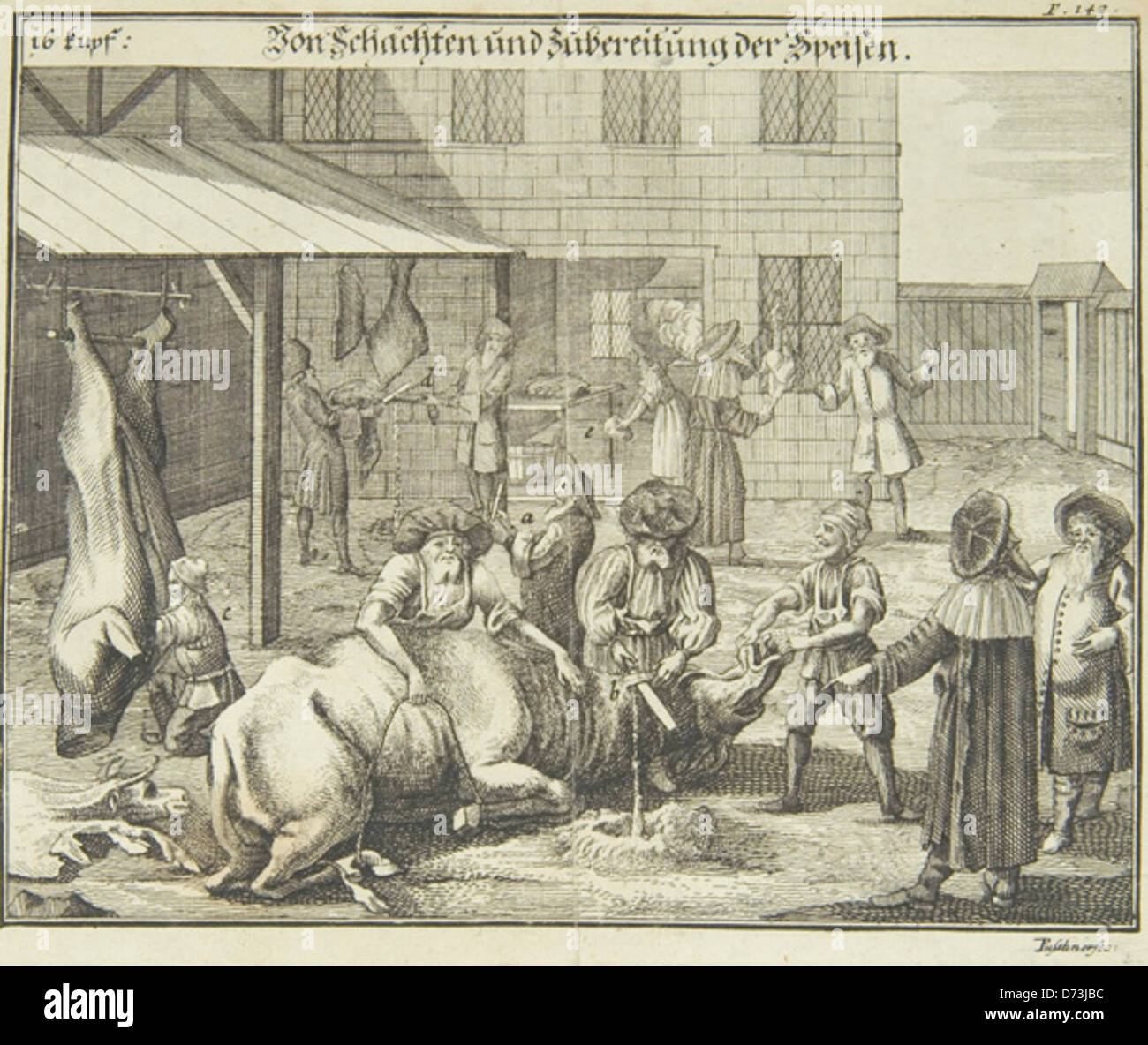 This illustration from *Juedisches Ceremoniel* depicts the kosher ...