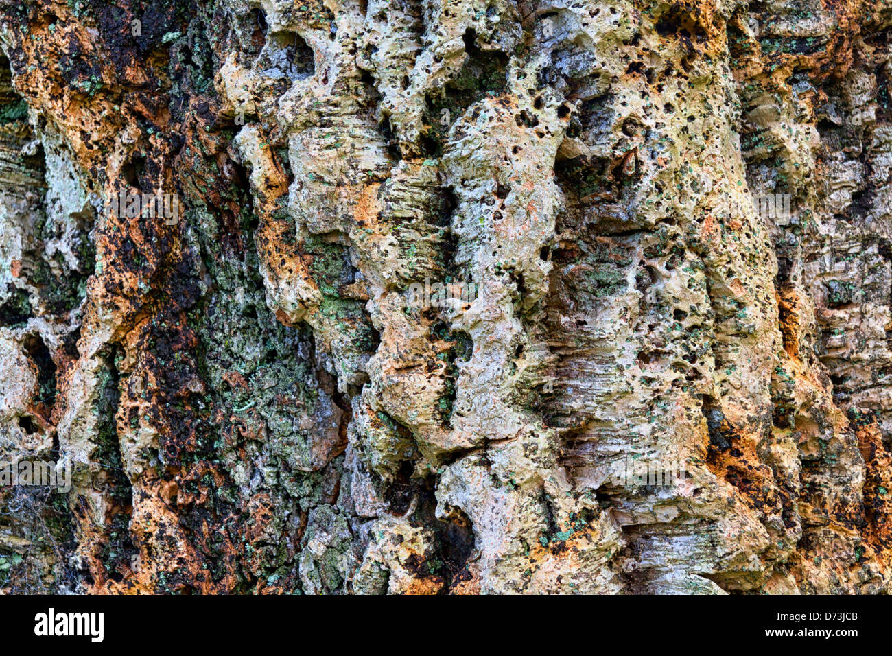 Skin tissue growing hi-res stock photography and images - Alamy