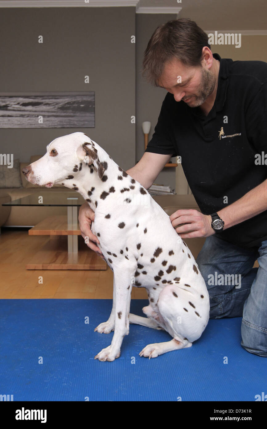 Connective tissue spine hi-res stock photography and images - Alamy