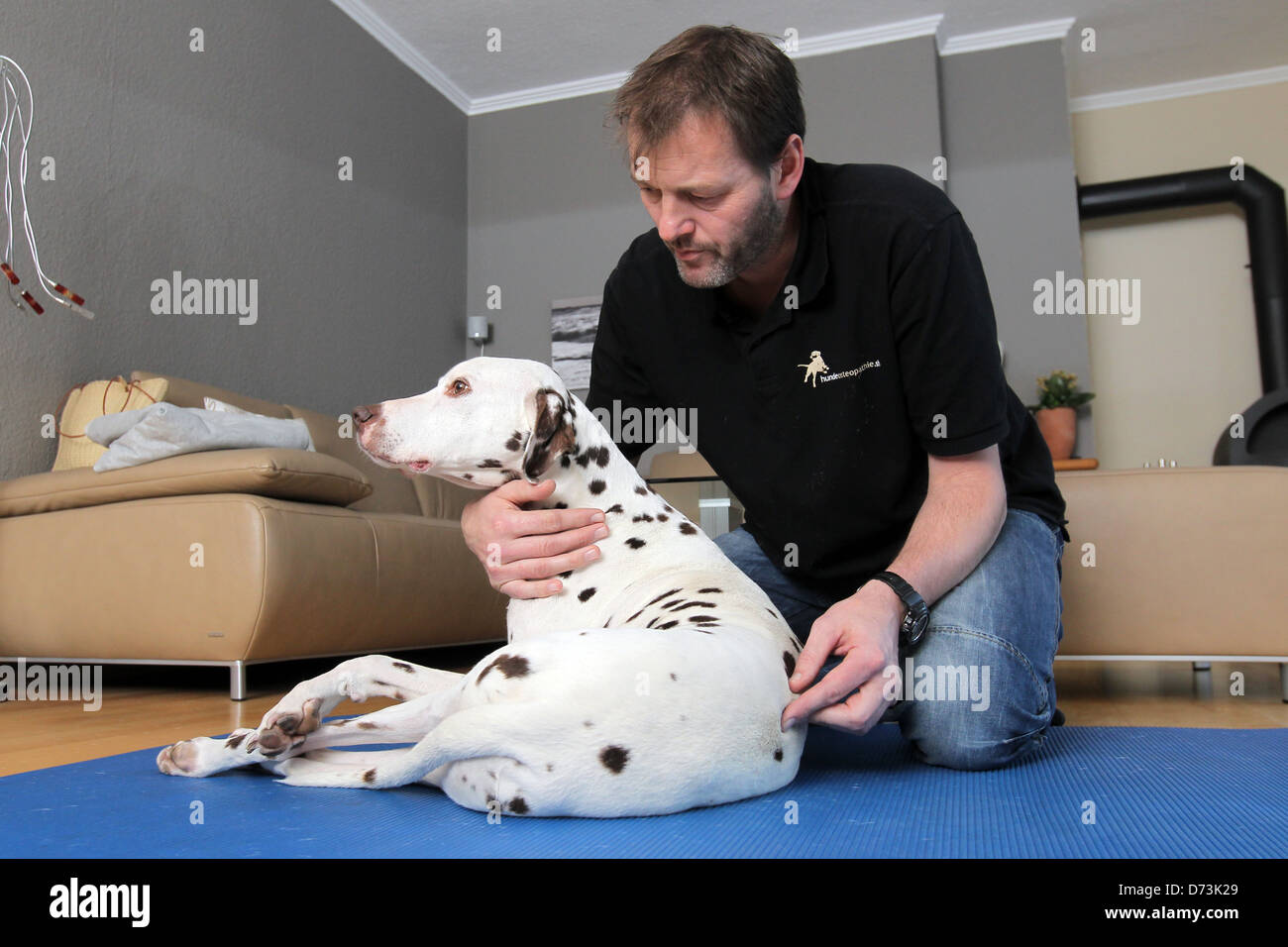Connective tissue spine hi-res stock photography and images - Alamy