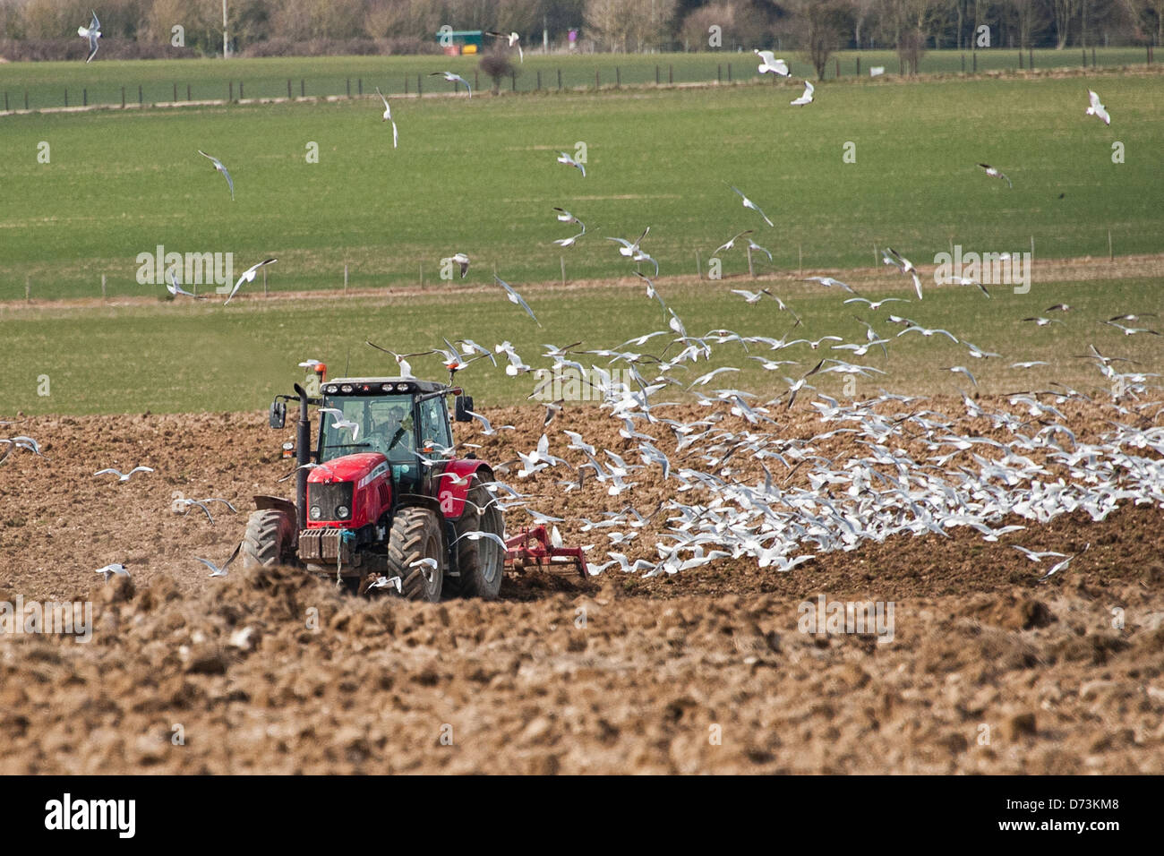 A field being plowed Stock Photo - Alamy
