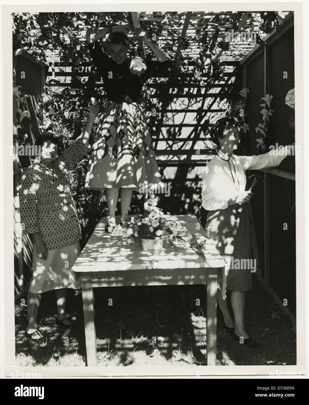 Jewish holiday Succoth constructed by Public Works Department Stock ...