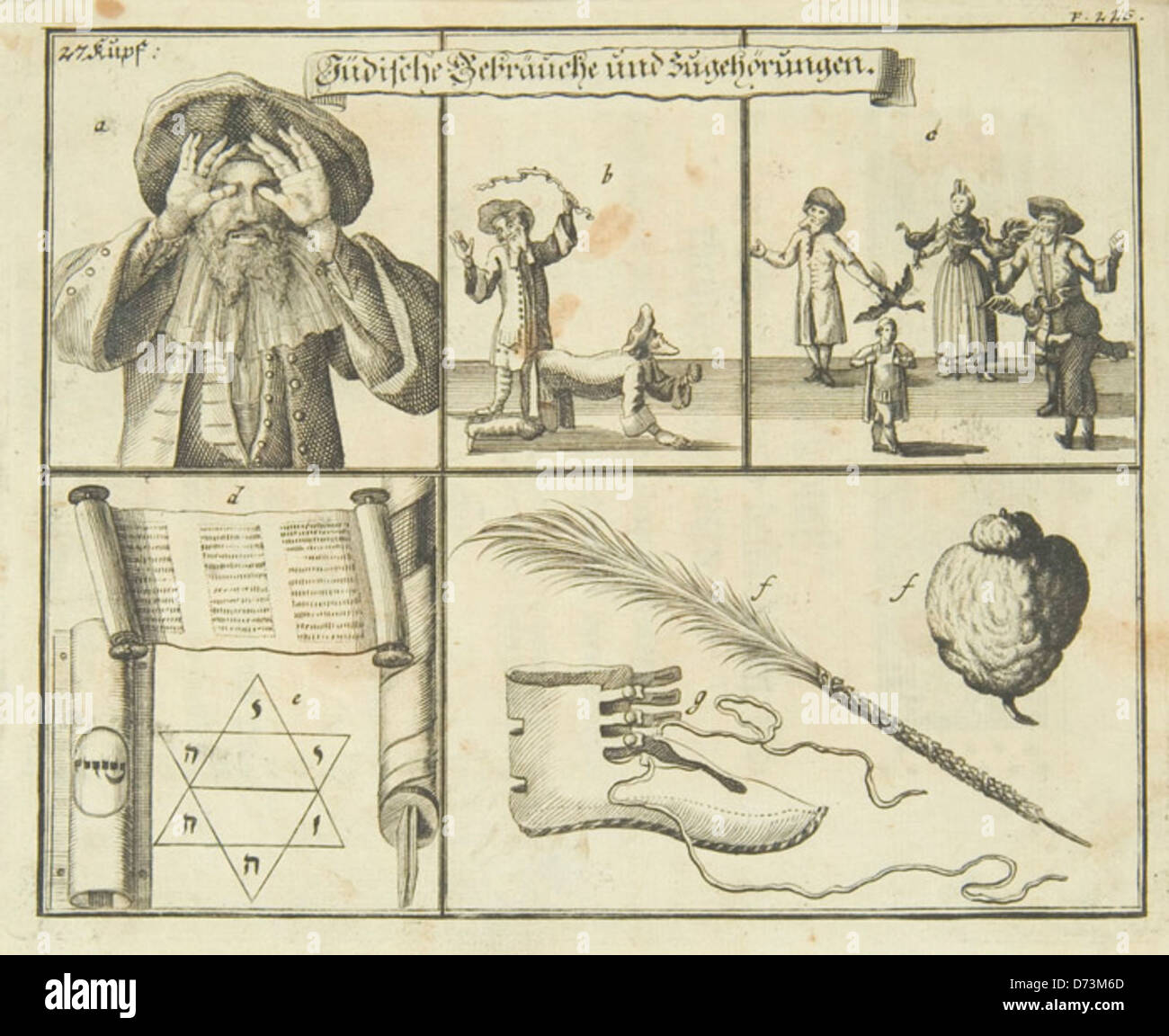 A photograph of a Lulav (palm twig) and Etrog (citrus fruit), two ...