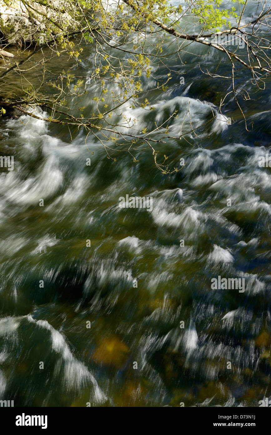 Ason river, Cantabria, Spain Stock Photo - Alamy