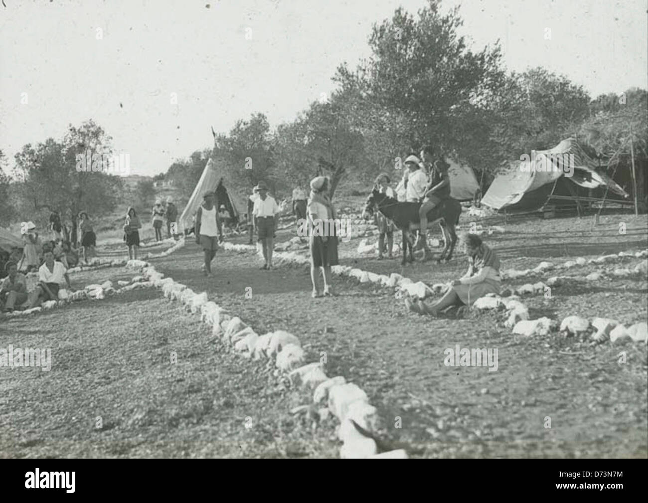 A group of Boy Scouts camping in tents, likely in Israel. The scene ...