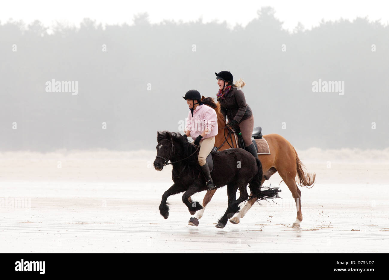 Horse galloping on beach hi-res stock photography and images - Alamy