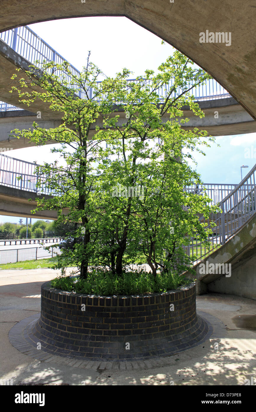 Pedestrian footbridge across the A316 Country Way at Hanworth England ...
