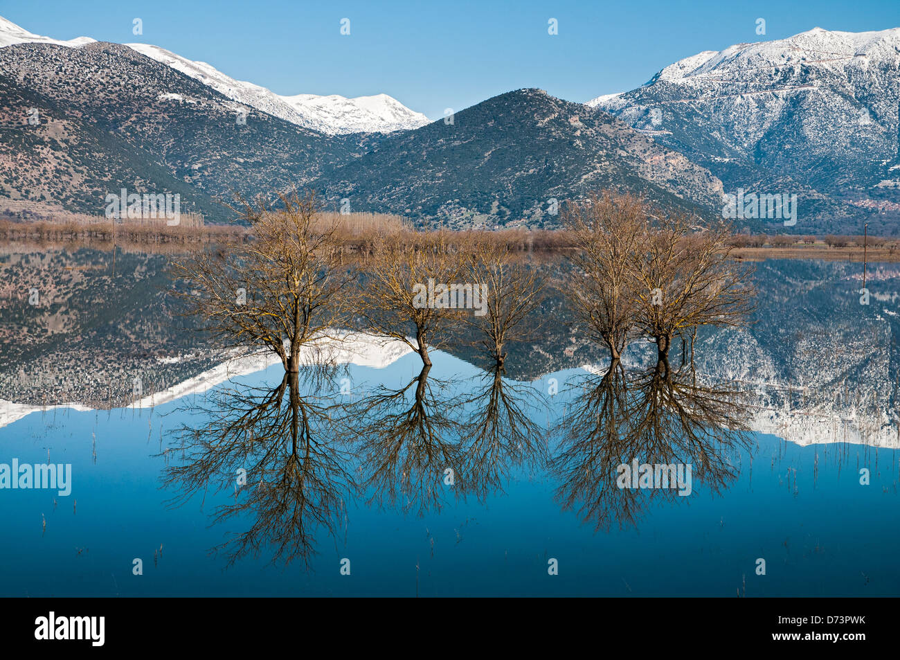 Reflections in the flooded plains of Mantineia, near Tripoli, Southern ...