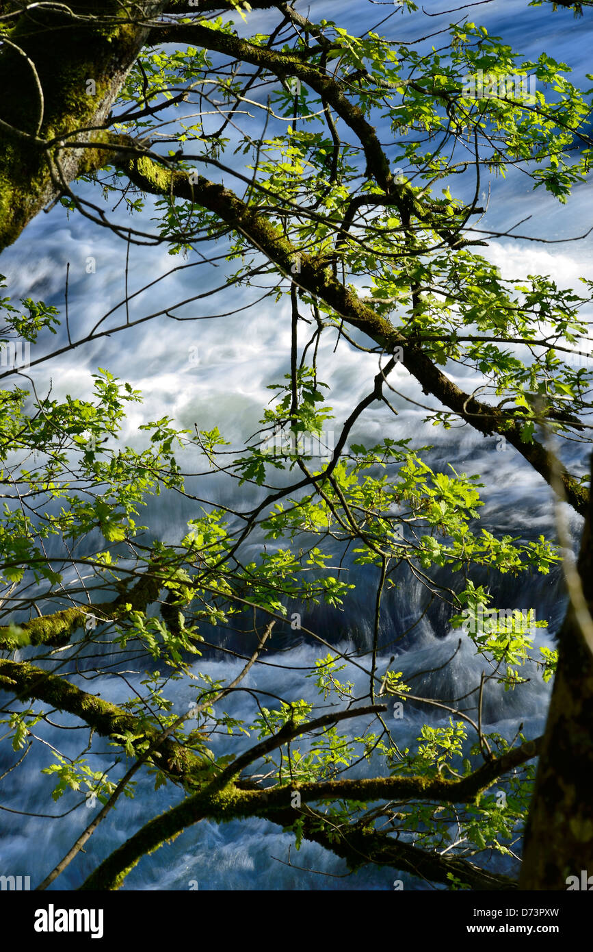 Ason river, Cantabria, Spain Stock Photo - Alamy