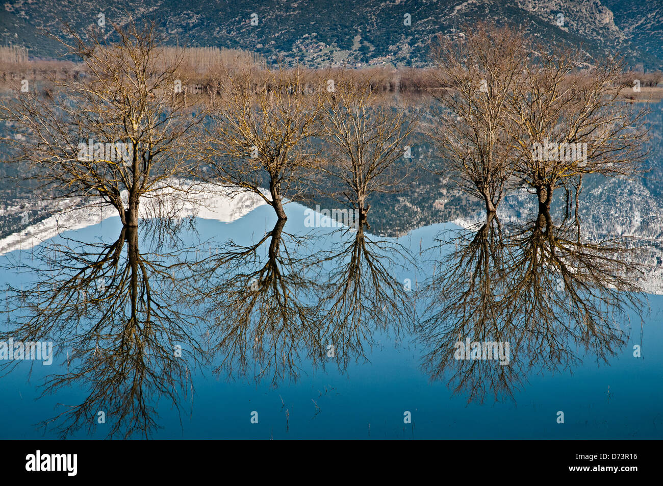 Reflections in the flooded plains of Mantineia, near Tripoli, Southern ...