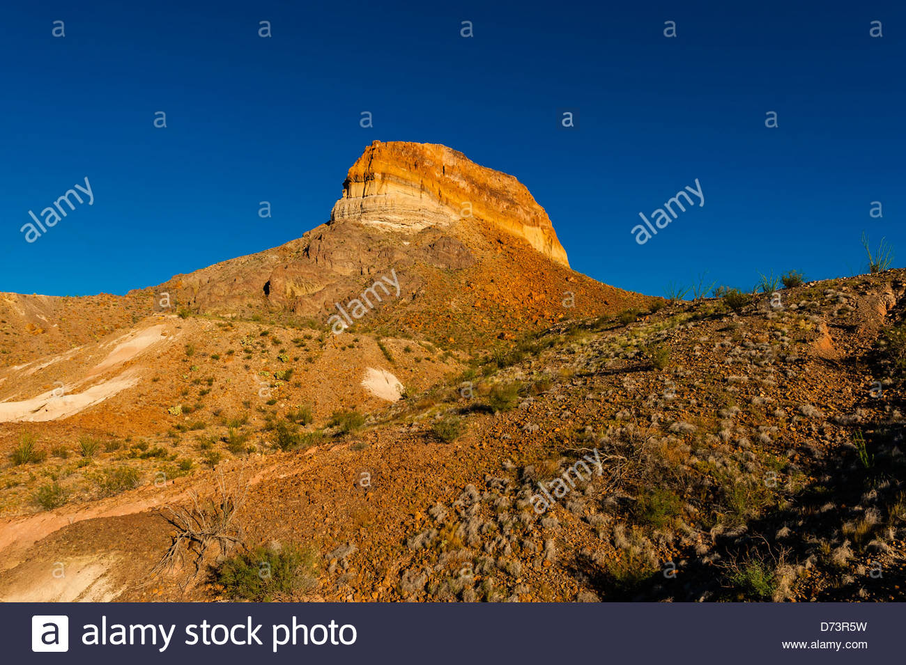 Castellan Stock Photos & Castellan Stock Images - Alamy