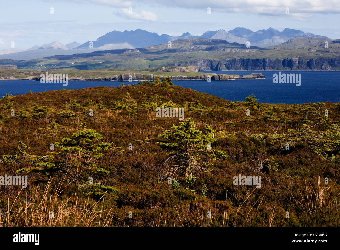 Rebel's wood skye hi-res stock photography and images - Alamy