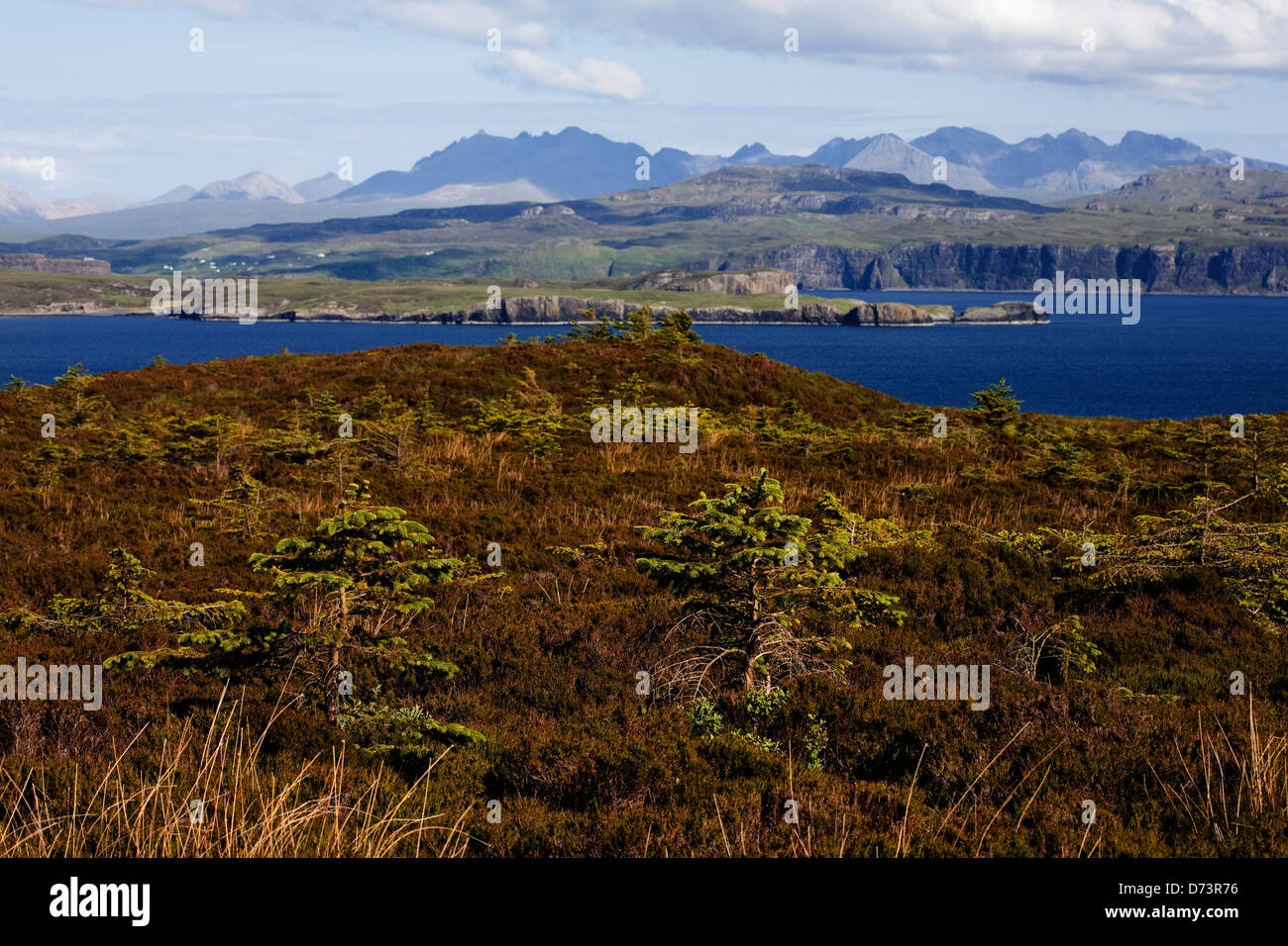 Rebel's wood skye hi-res stock photography and images - Alamy