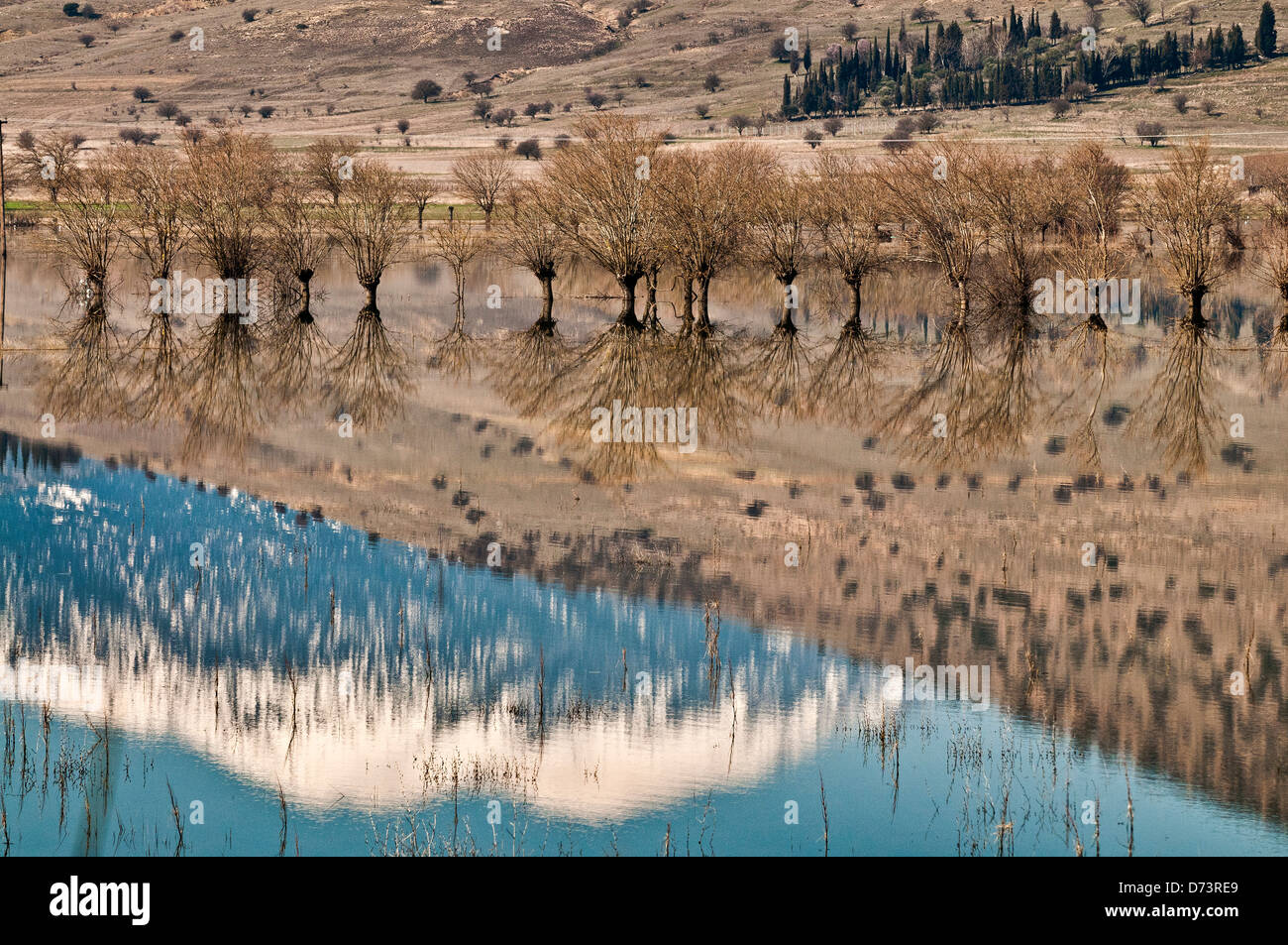 Reflections in the flooded plains of Mantineia, near Tripoli, Southern ...