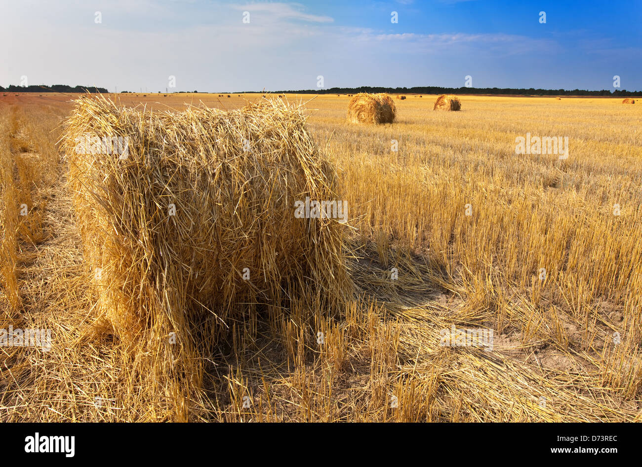Stacks in the field Stock Photo - Alamy